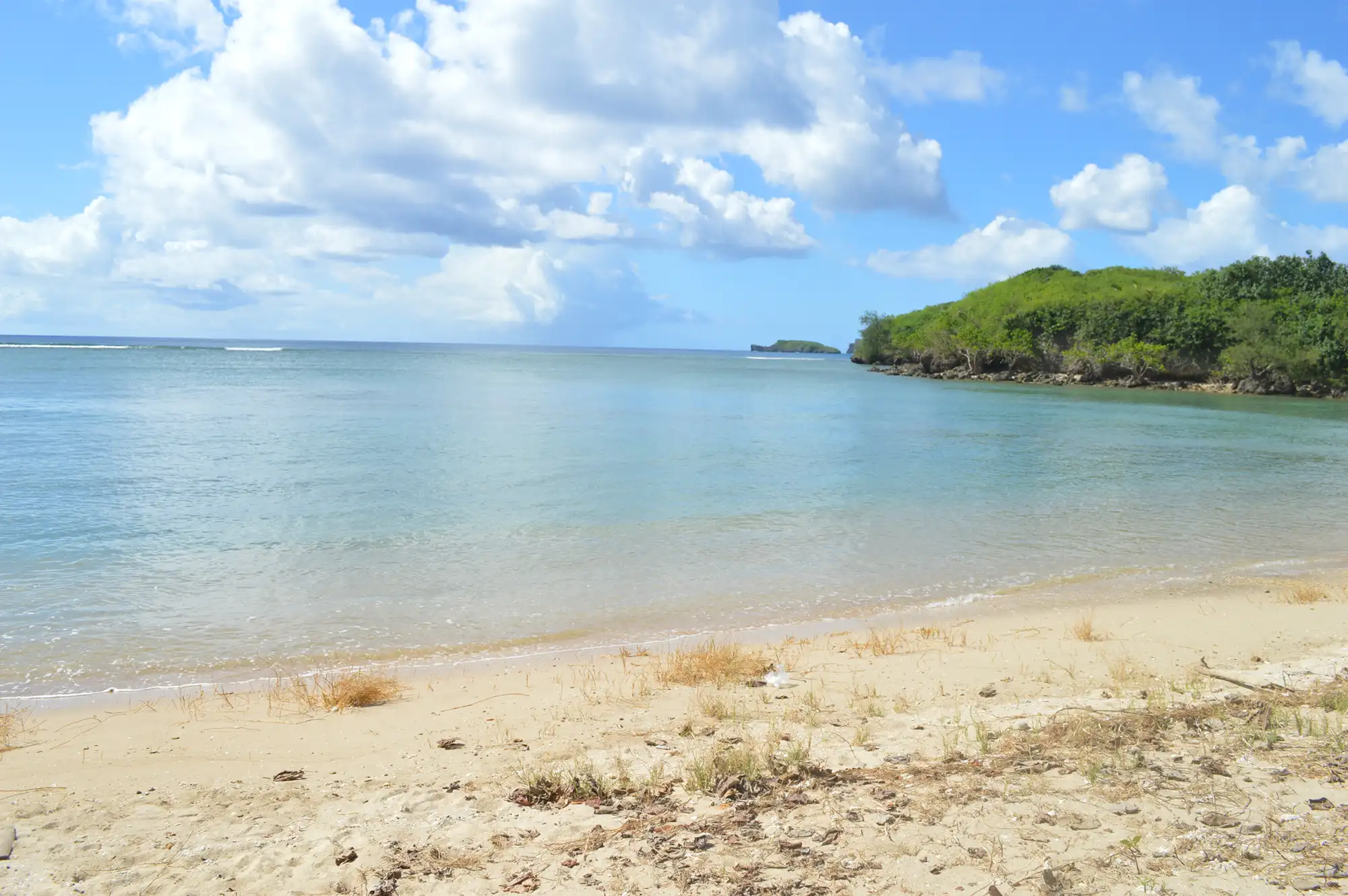 War in the Pacific | Pacific Historic Parks