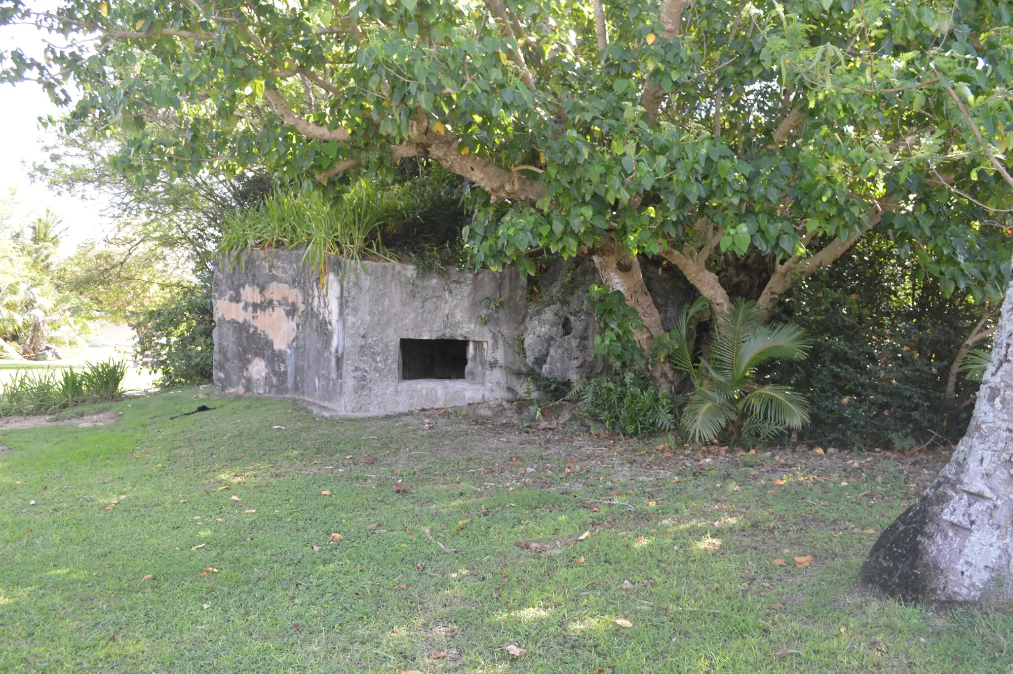 War in the Pacific | Pacific Historic Parks