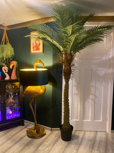 Ornamental Large 220cm Palm Tree In Black Pot Garden or Indoors | The ...