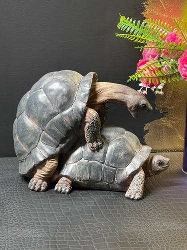 "Happy" Tortoises Ornament Funny Cheeky Resin Figure | The Lilly Pad