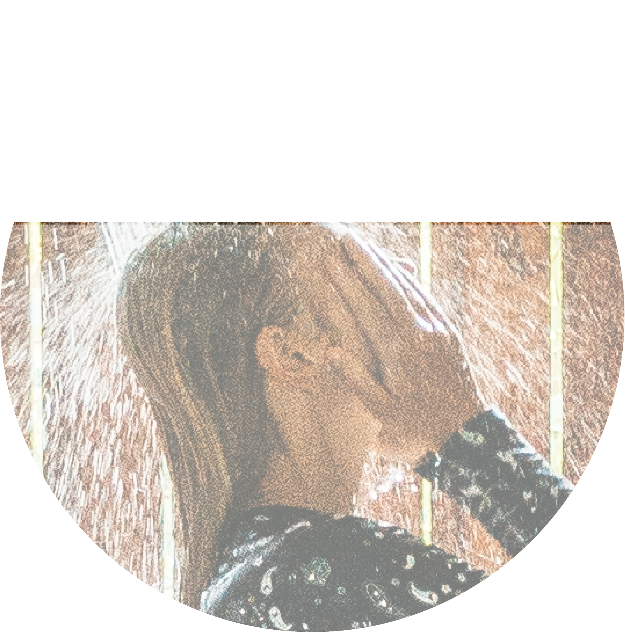 Leak Detection | Drizzle X