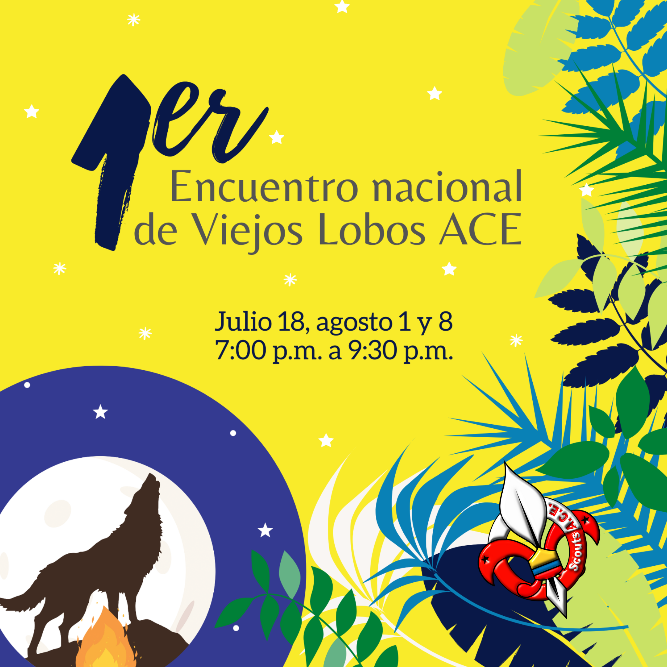 Discusión - Familia Chimini | Scouts A.C.E.