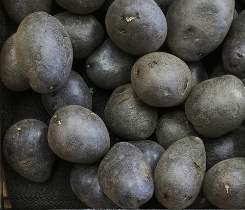 Gourmet Seed Potato - Caribe - | Grasshill Farm Shop