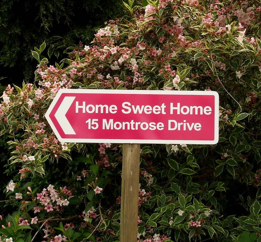Fun Direction Signs | englandsignscopy