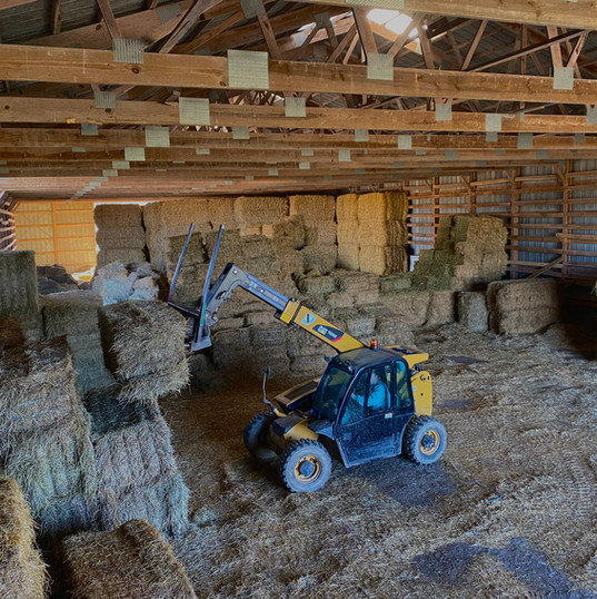 Farm | Lippy Brothers Farms | United States