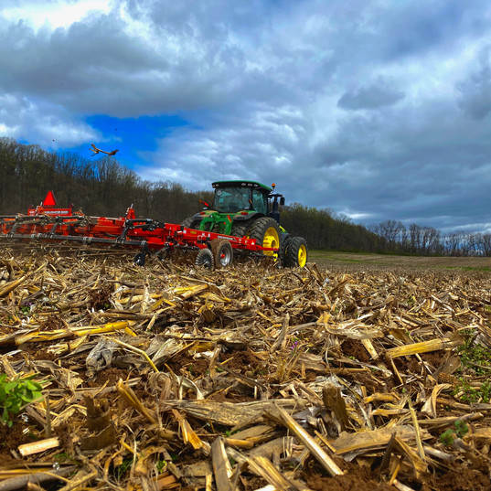 Farm | Lippy Brothers Farms | United States