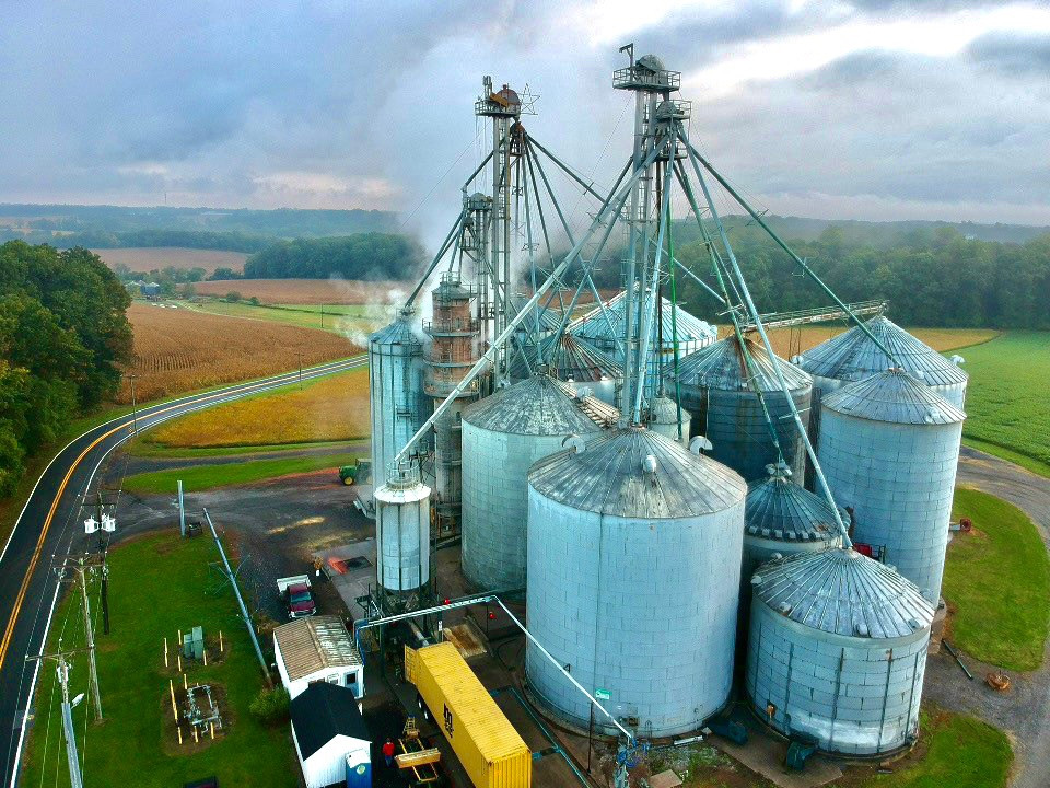 Export | Lippy Brothers Farms | United States