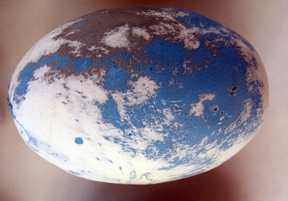 MAIN THEMES | vio-bocioc-portfolio