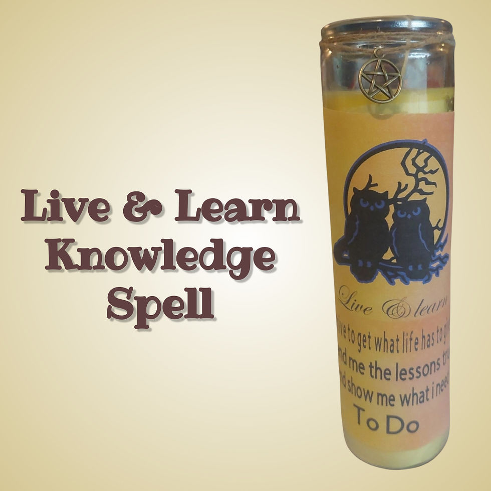 Live & Learn Knowledge Spell | Candle Craft Magic