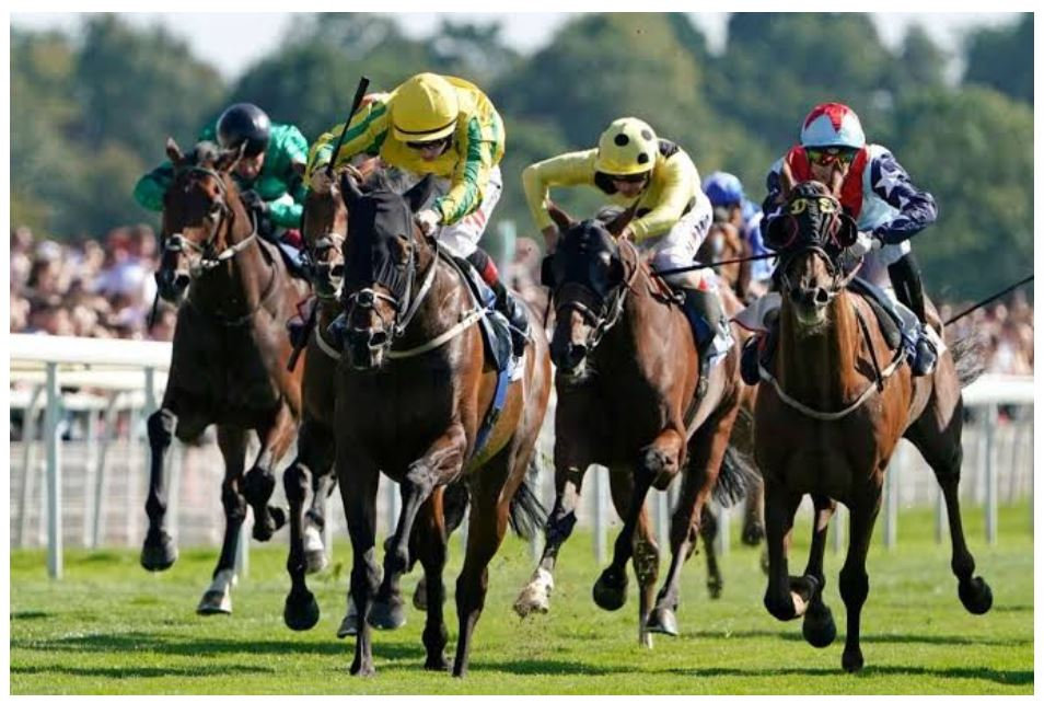 The Never Ending Race