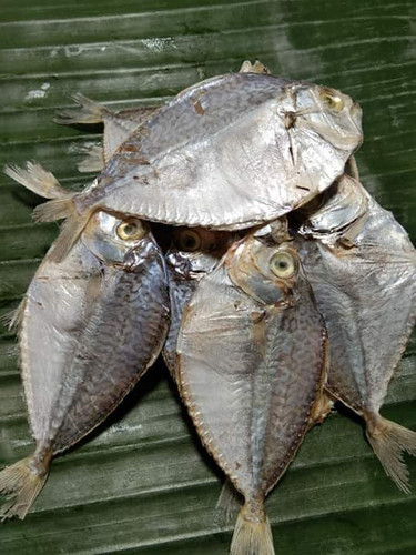 Dried Fish Alamang- 1 kilo | I&CS EMPC