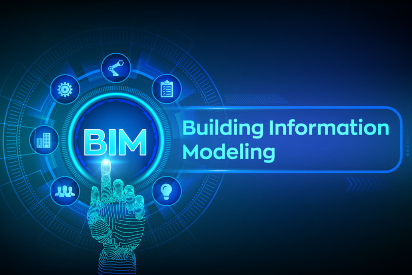 What is bim