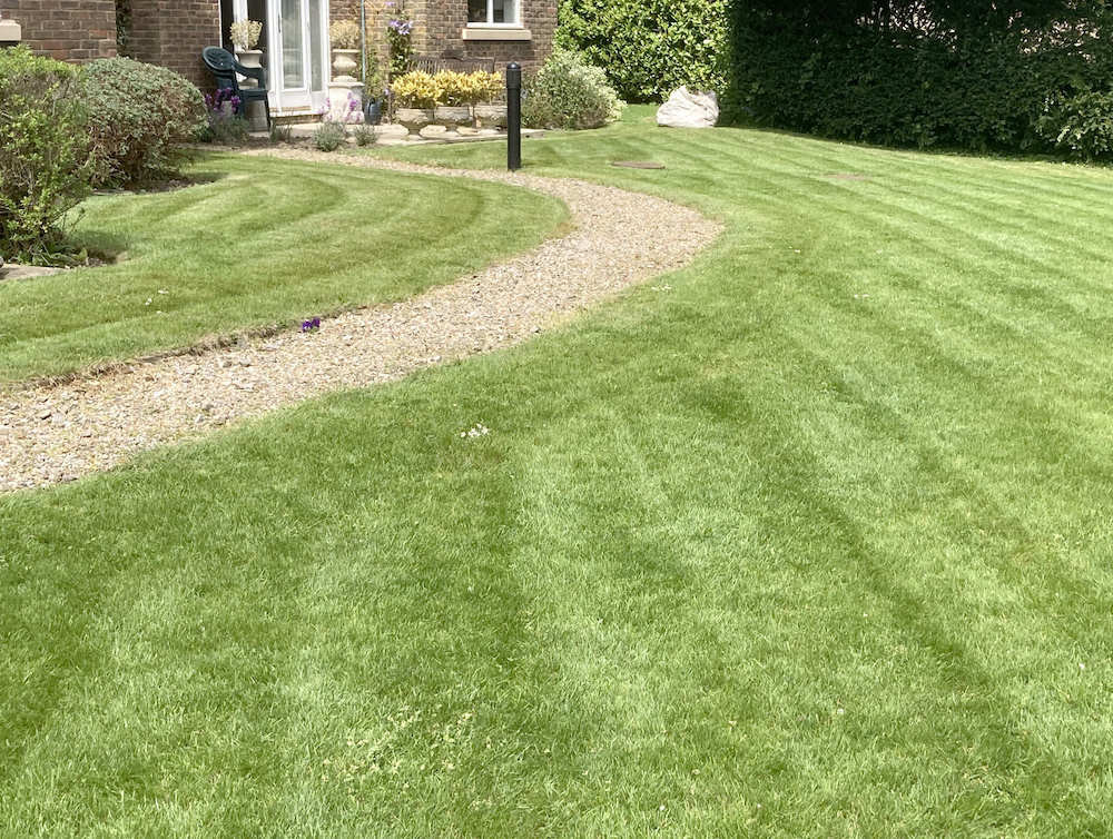 How to get and maintain a beautiful lawn