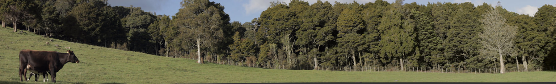 Common Ground: A Place to Stand – Together