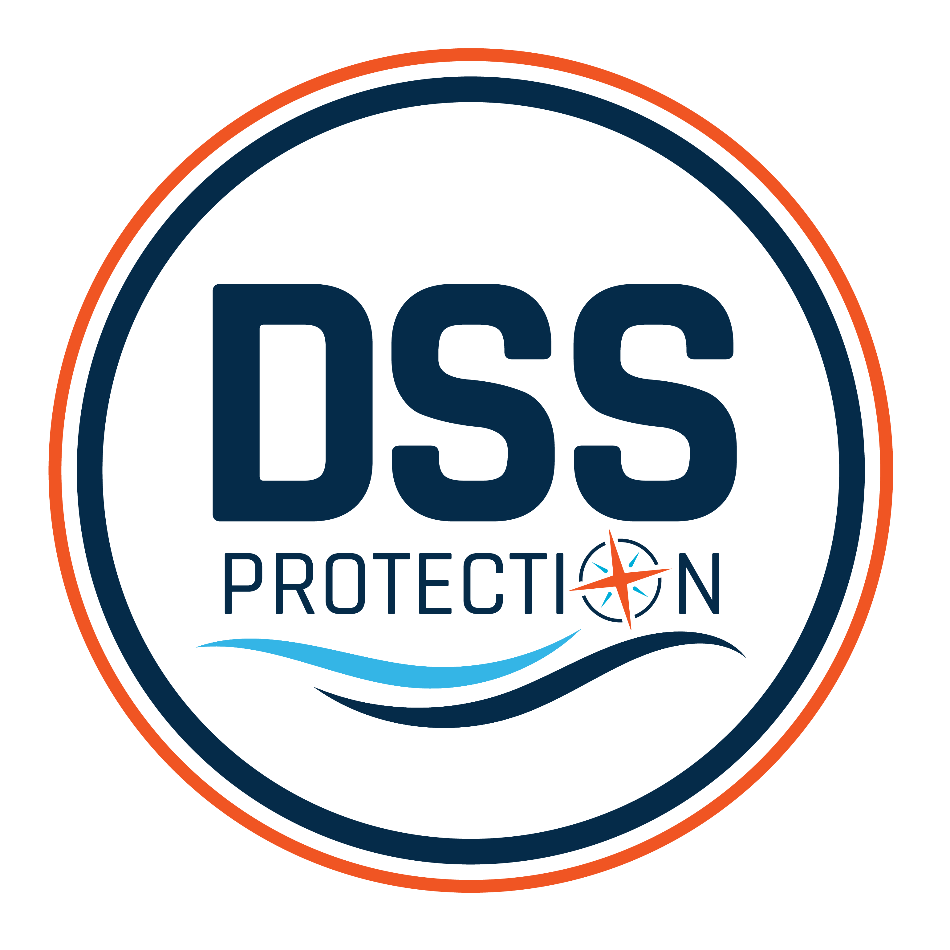 DSS Protection