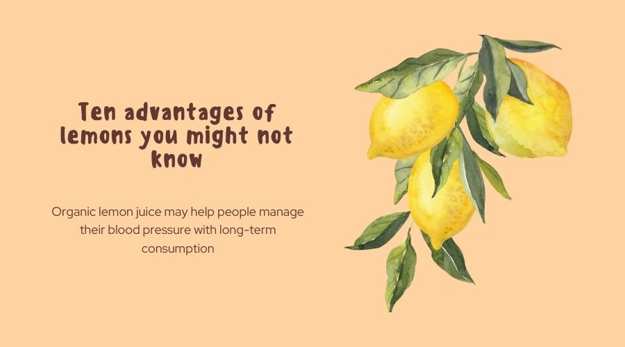 Ten advantages of lemons you might not know.