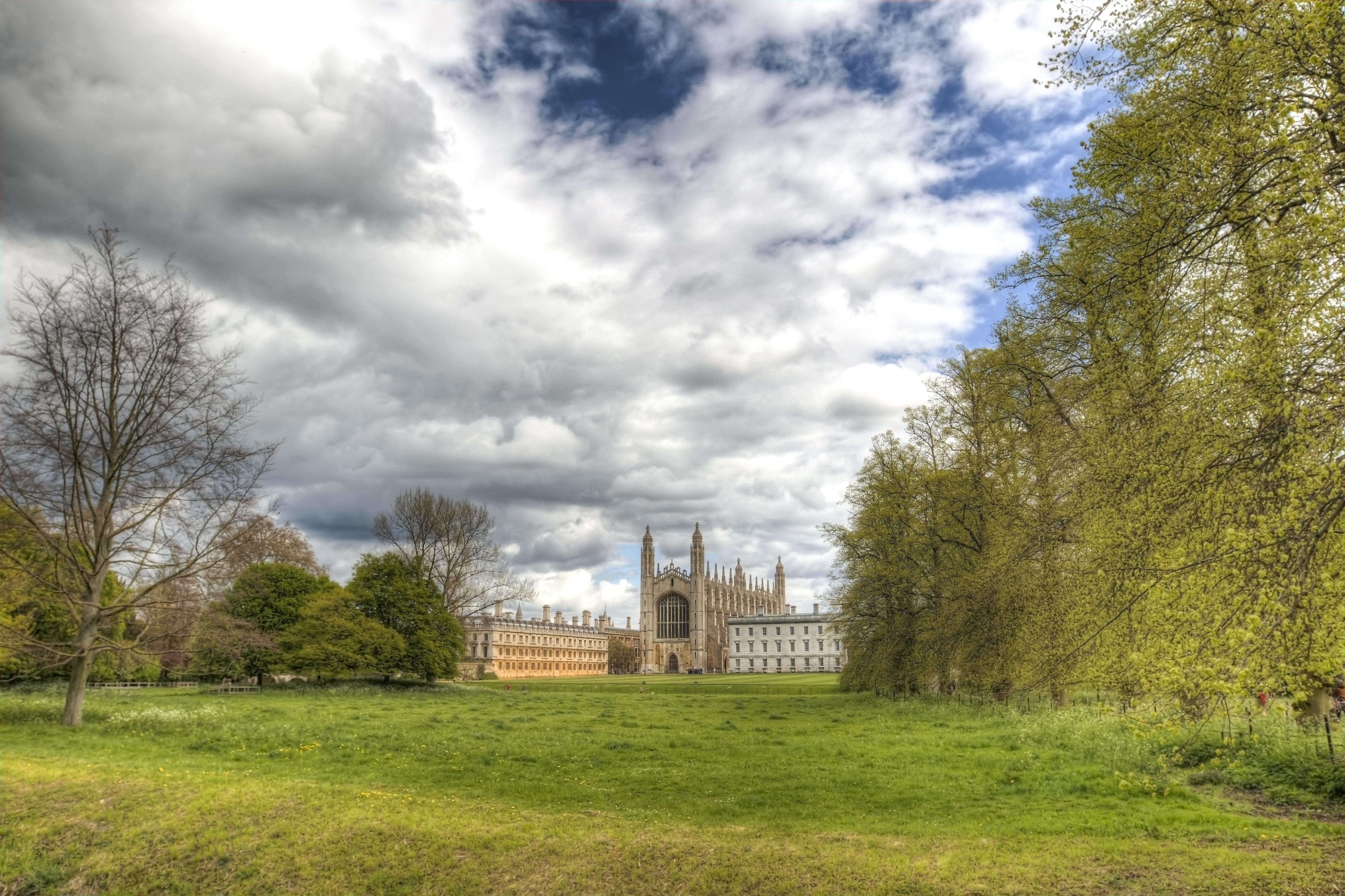 Advising & Consulting,The Campus Culture Group, New York