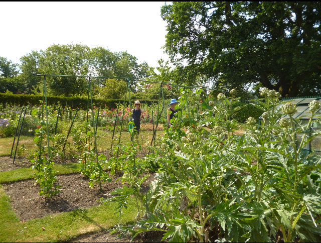 Exploring Gardens 2016,17 &18 | bookham-butterflies
