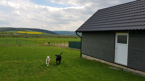 Bobi hotel pre psov | Starajme sa