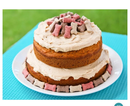 Double Layer Dog Cake | Hovers Rovers