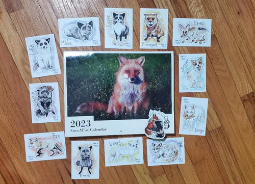 Sticker Pack 2 with Finnegan comes with 2025 calendar! | Saveafox