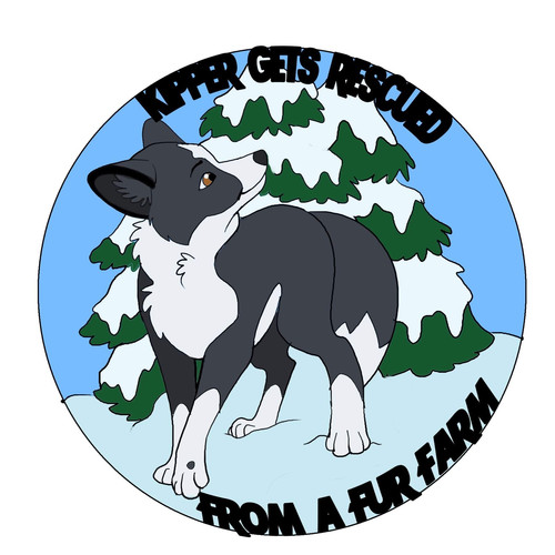 Kipper gets rescued from a fur farm pin! | Saveafox