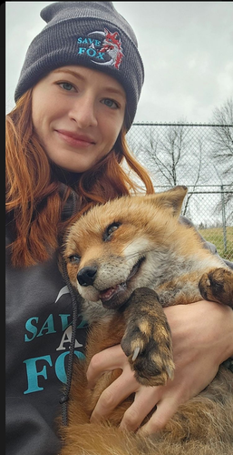 Finnegan Winter Hat! | Saveafox