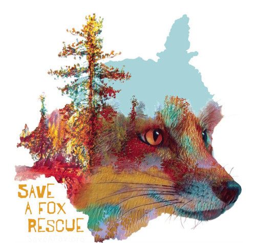 SaveAFox Wilderness Pin 2.6 inches! | Saveafox