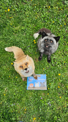 Thank you SaveAFox soft cover Book | Saveafox