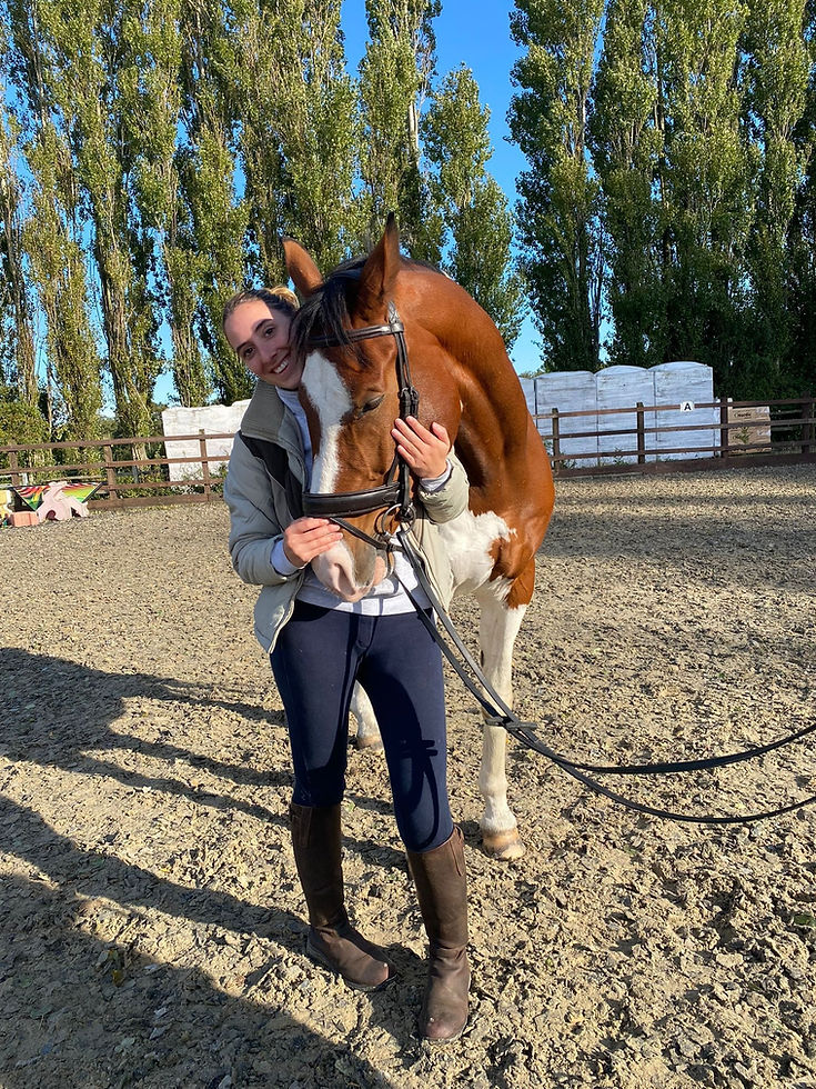 Gina Cook Veterinary Physiotherapy | Veterinary | Guisborough, UK