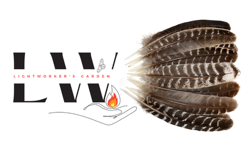 Wild Turkey Feathers | Lightworkers Garden