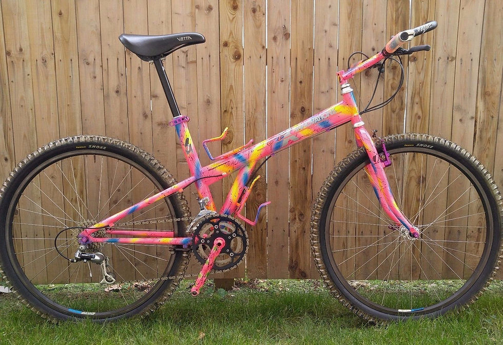 Vintage Mountain Bikes Collection