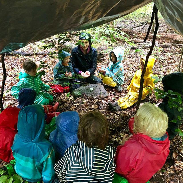 Blue Ridge Forest School | Forest School | Forest Preshool | Outdoor School