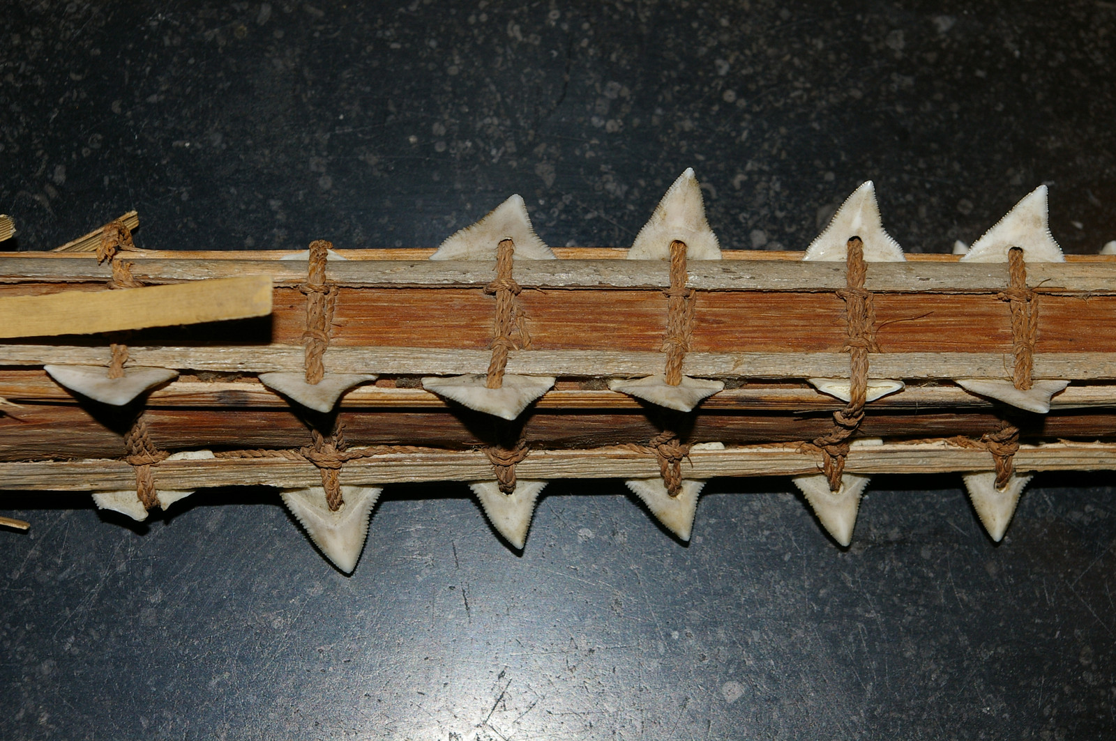 Gilbert islands shark tooth sword. Collected by Lieutenant-commander ...