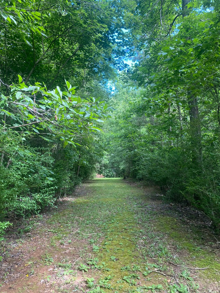 Ellerbe Springs - Bed & Breakfast - Campground - Restaurant - Ellerbe, NC