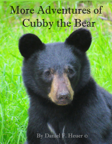 More Adventures of Cubby the Bear (Book 2) | heuerart