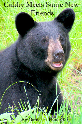 Cubby Meets Some New Friends (Book 3) | heuerart