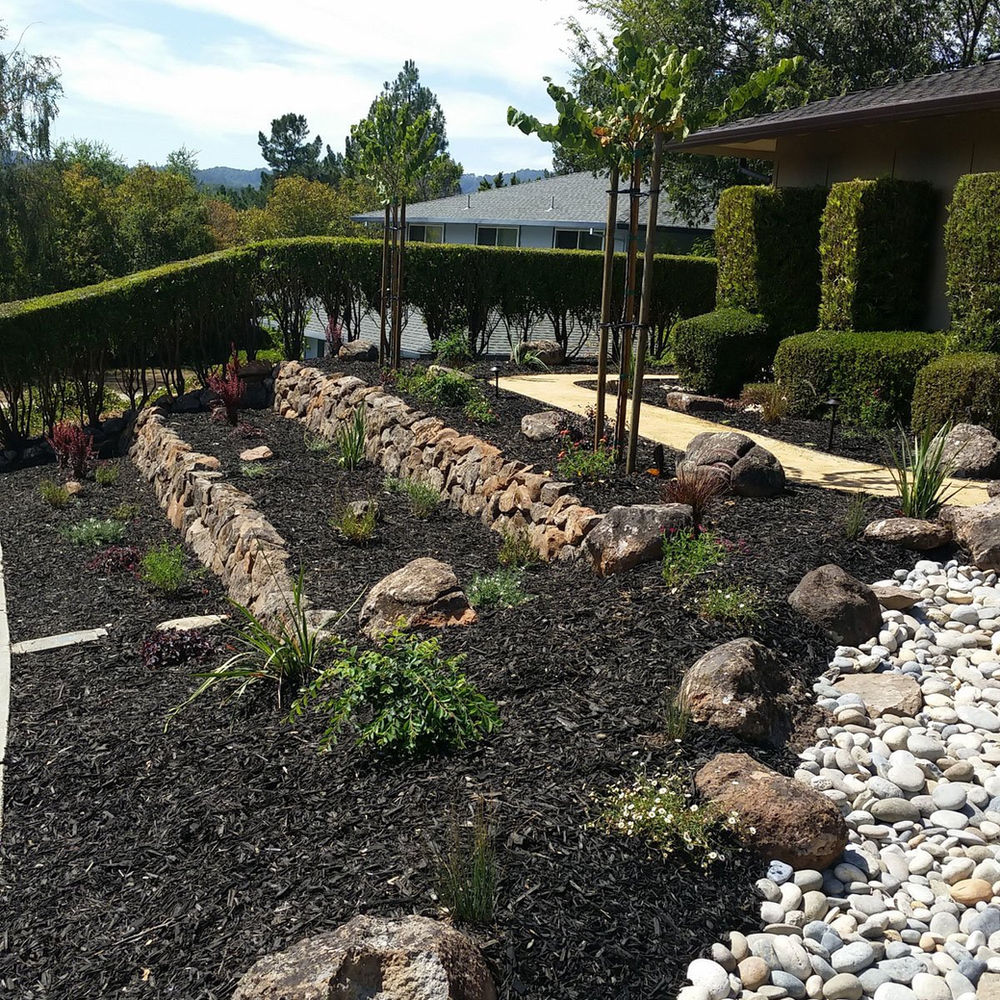 7 Reasons We Love Low Water Landscapes