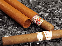 View Course Guide | Online Leathercraft Courses | Leathercraft Masterclass