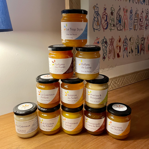 Collection 2022 (11 pots) | Beopolis