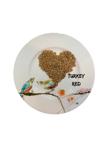 Turkey Red Winter Wheat | Guardian Grains