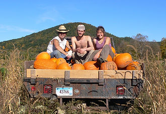 Jewish Farming in the News | Jewish Farmer Network