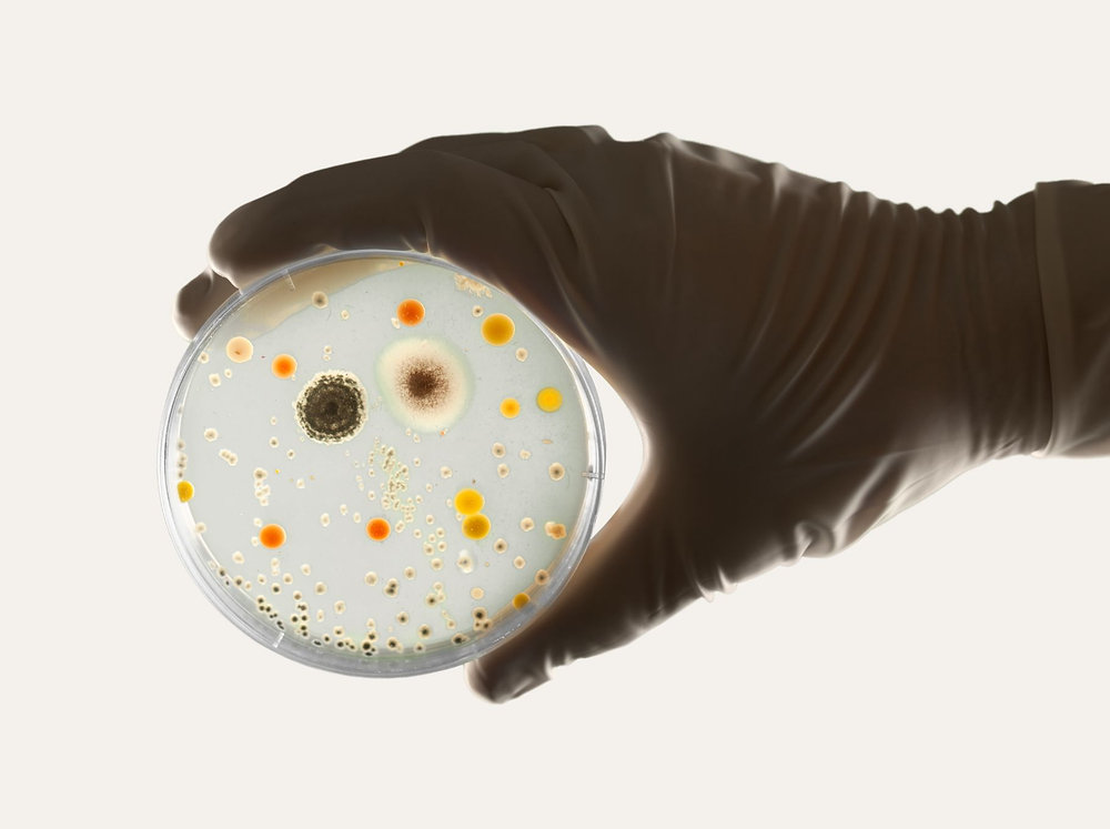 Eye Infection from Makeup: Everything You Need to Know