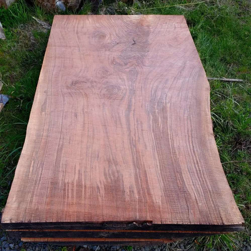 Rare, Extra-large Black Walnut slab | Slabyrinth