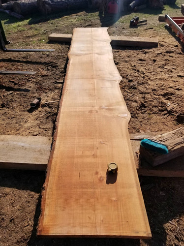 Extra long 16' Fir slabs | Slabyrinth