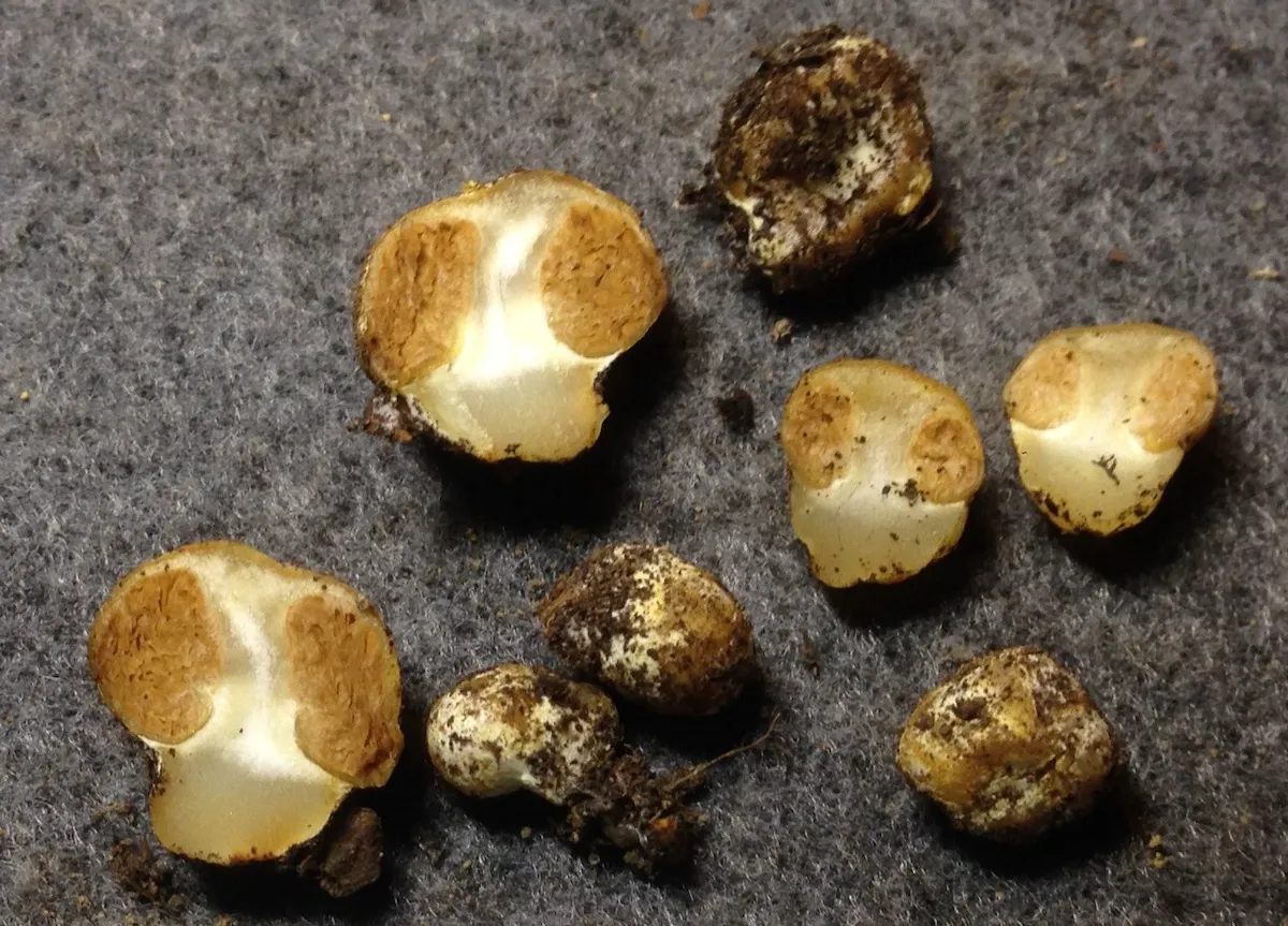 All Products | 한서과학