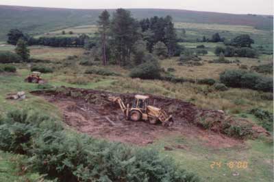 Farming with nature on Dartmoor