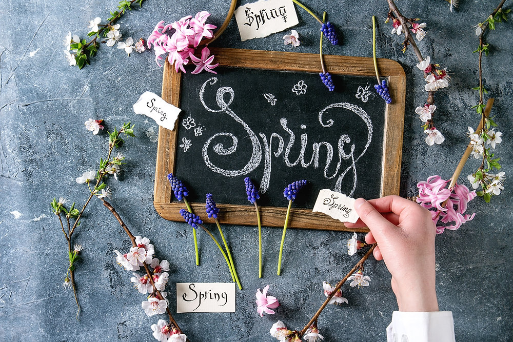 Embracing the Blooms: Spring-Inspired Graphic Design Trends