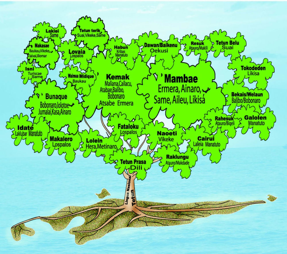 Timor-Leste nia Lian Sira (The Languages of Timor-Leste)
