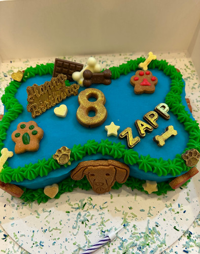 Bone shaped dog cake | My Site